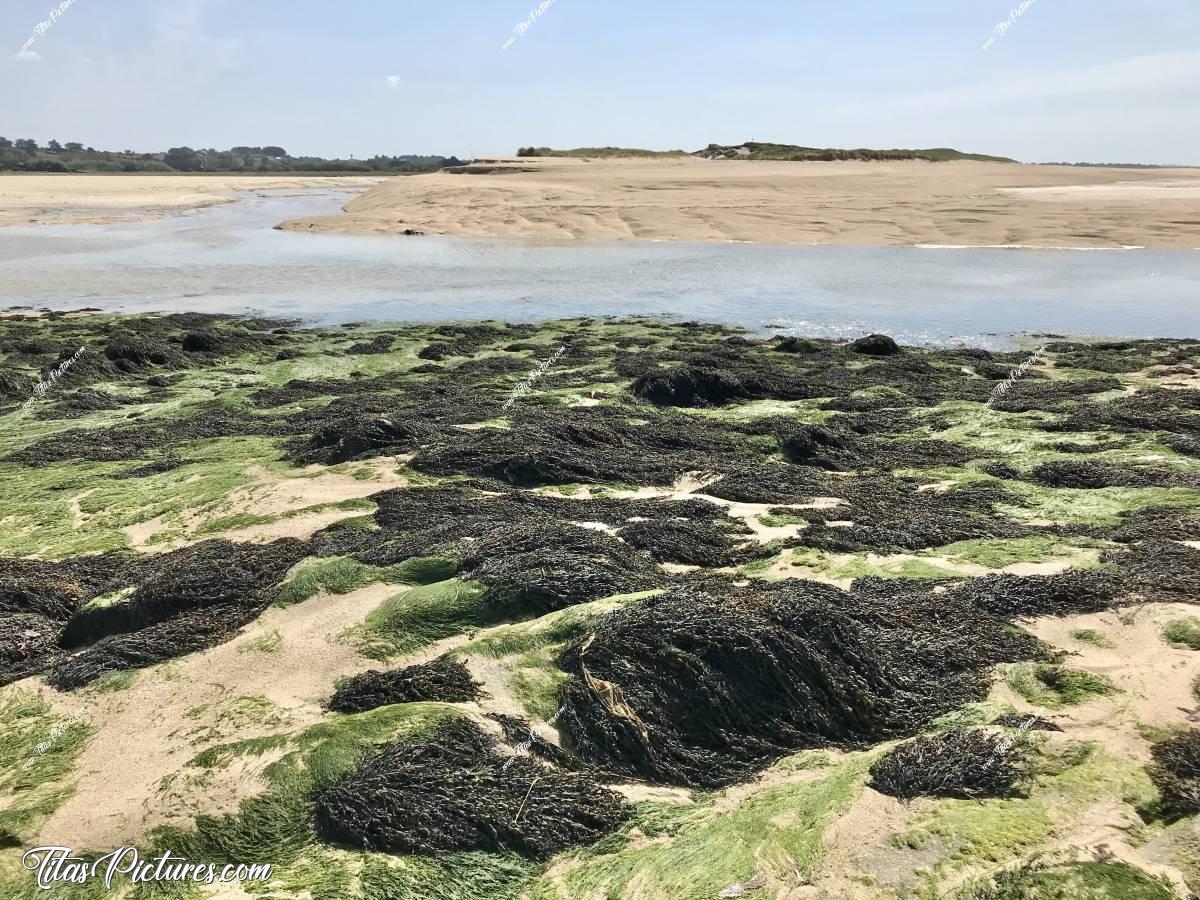 La Baie du Kernic de l'album Le Finistère sur Titaspictures.com